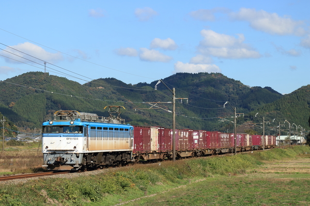 EF81 503: 房総地区113系を追って
