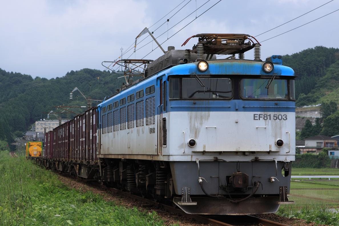 EF81 503: 房総地区113系を追って